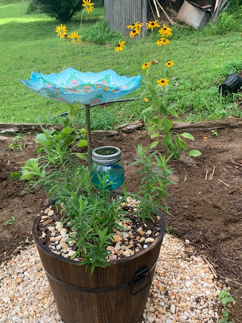 Our Pollinator Garden – Protect Our Virginia Pollinators